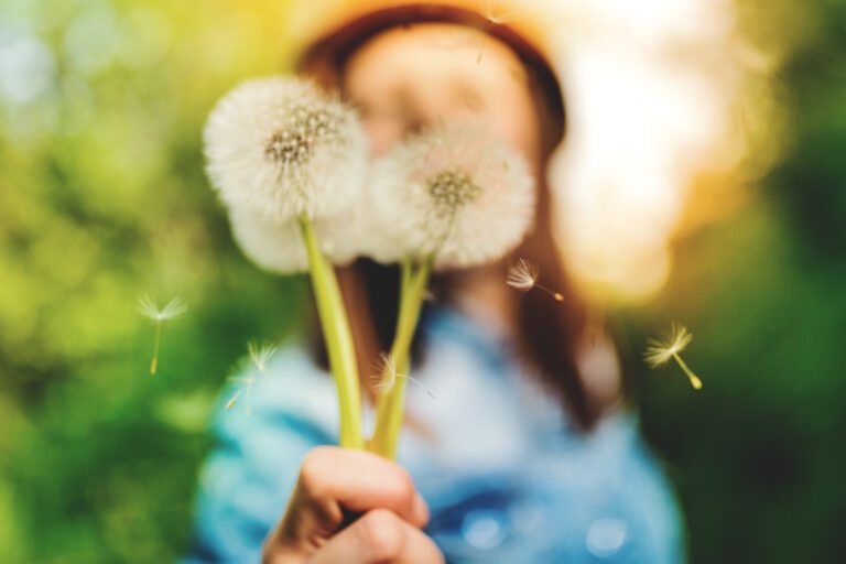 John Boyle, MD - ENT Physician - Wilmington Health